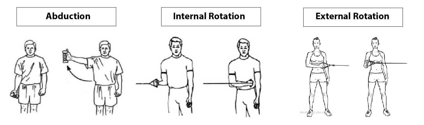 The Rotator Cuff | Corporate Health Unlimited